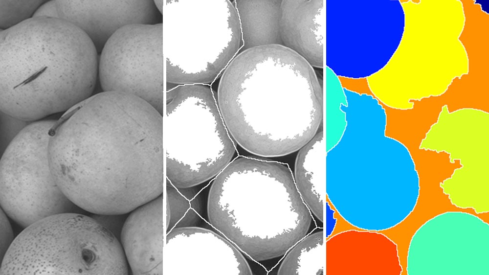 Image Processing Toolbox - MATLAB